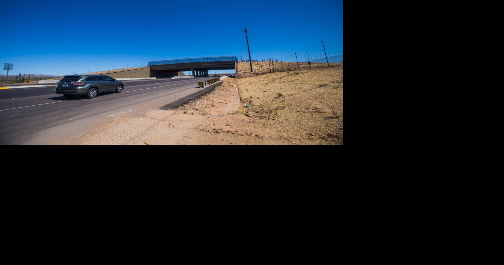 Oracle Road wildlife crossing to be named for late Supervisor Ann Day ...