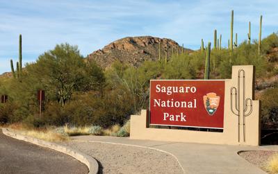 Saguaro National Park is open for business | Features ...