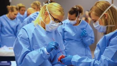 Cardiac ultrasound program accepting applications | Columns ...