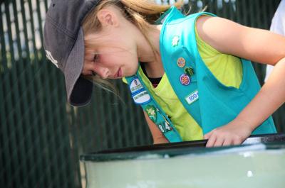 Oro Valley Girl Scouts troop to honor wildlife with monument | News ...
