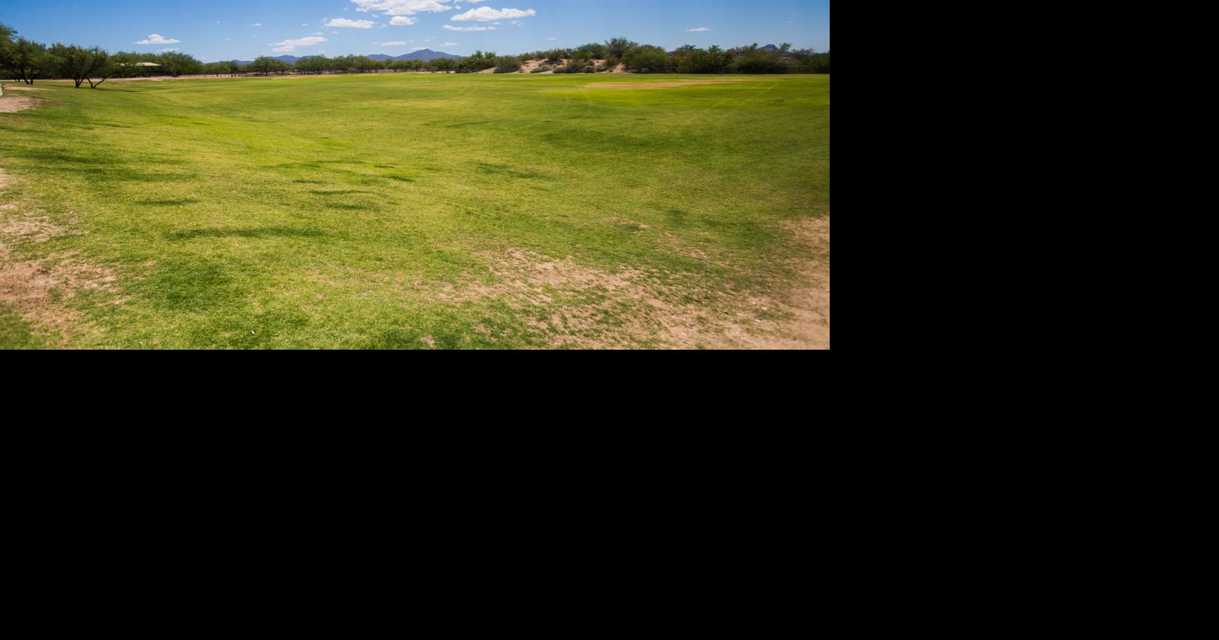Park to be renamed in honor of Ann Day | News | tucsonlocalmedia.com