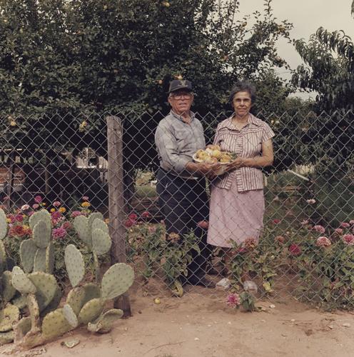 Don’t brush off these exhibitions | Liven Up | tucsonlocalmedia.com