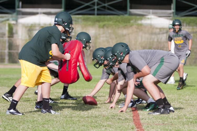 Canyon Del Oro Dorados look to start strong, finish strong in new ...