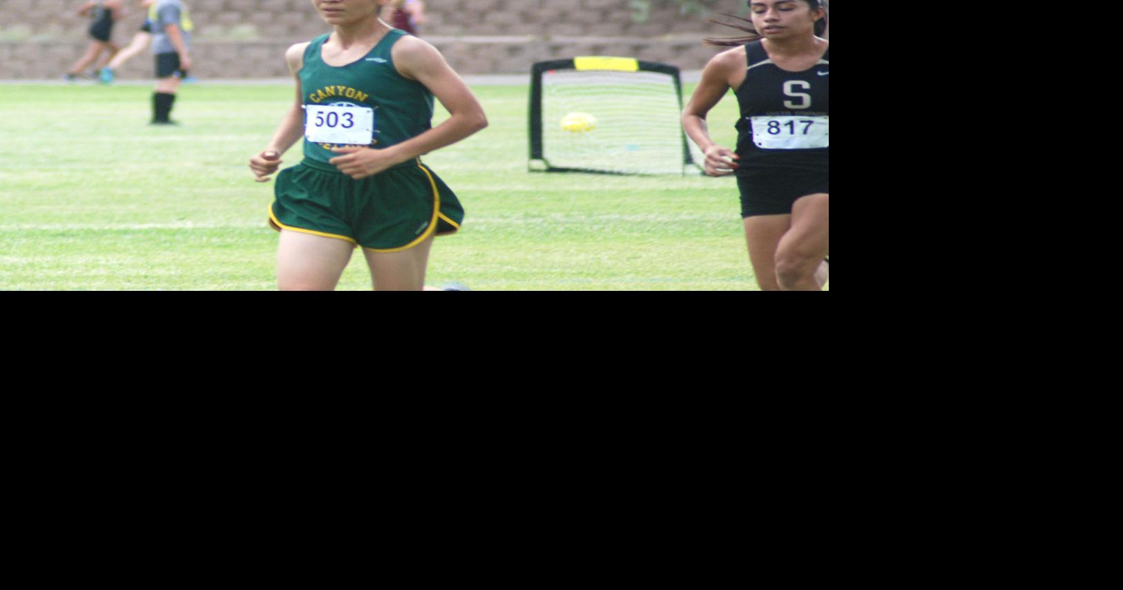 Doucet, Falcons win CC titles | High School Sports | tucsonlocalmedia.com