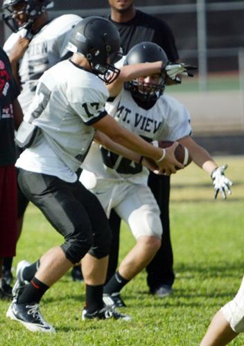 Mountain View seniors look to establish normalcy in 2012 season ...