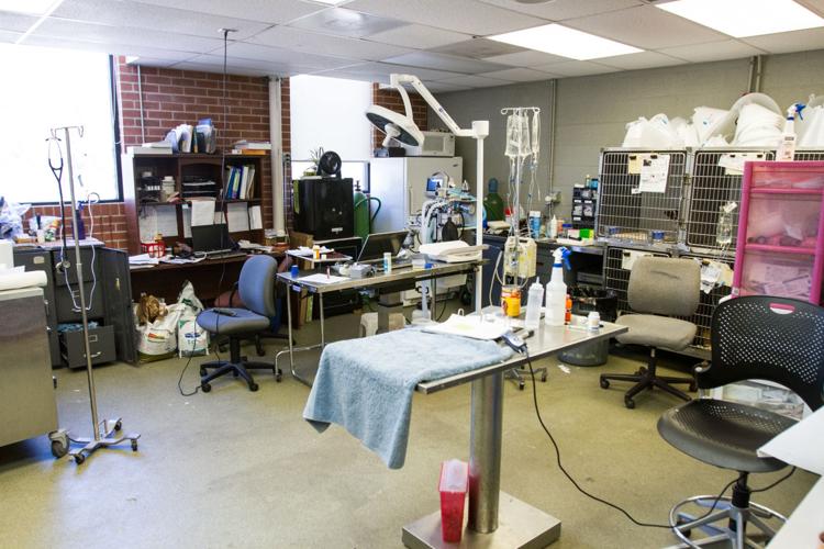 Oro Valley, Marana to pay more for Pima Animal Care Center | News ...