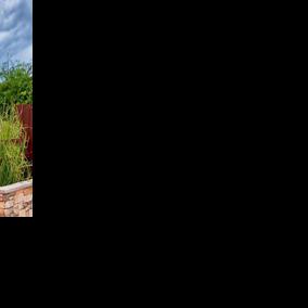 TMC nurses plead with the public as COVID-19 surges | Health ...