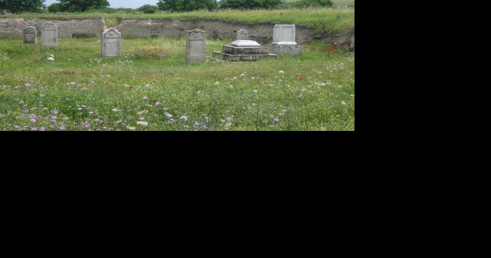 Computer program to map Gilford burial sites | News | tuscolatoday.com