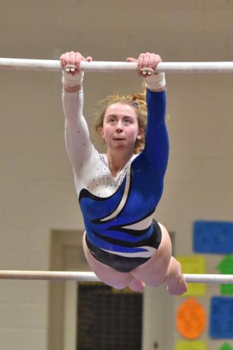 Vassar gymnastics gets back to routine | Local News | tuscolatoday.com