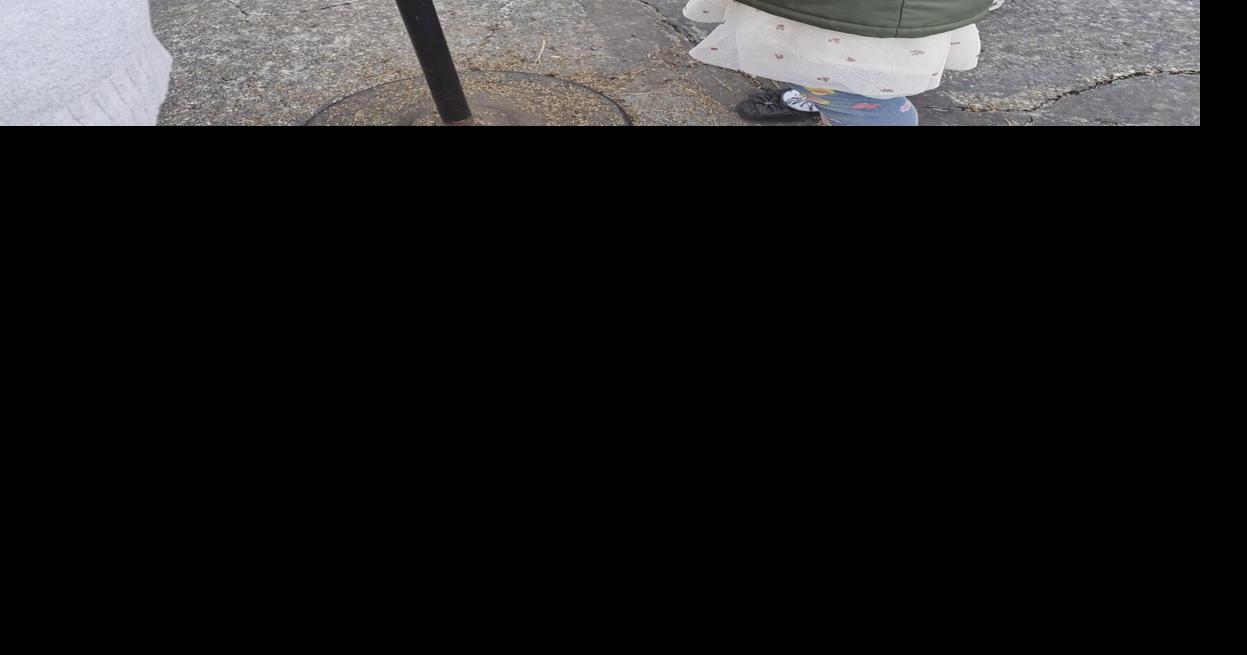 Reindeer eat up in Caro before Christmas | | tuscolatoday.com