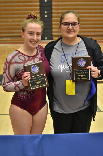 Vassar earns top awards at gymnastics finals | Local News ...