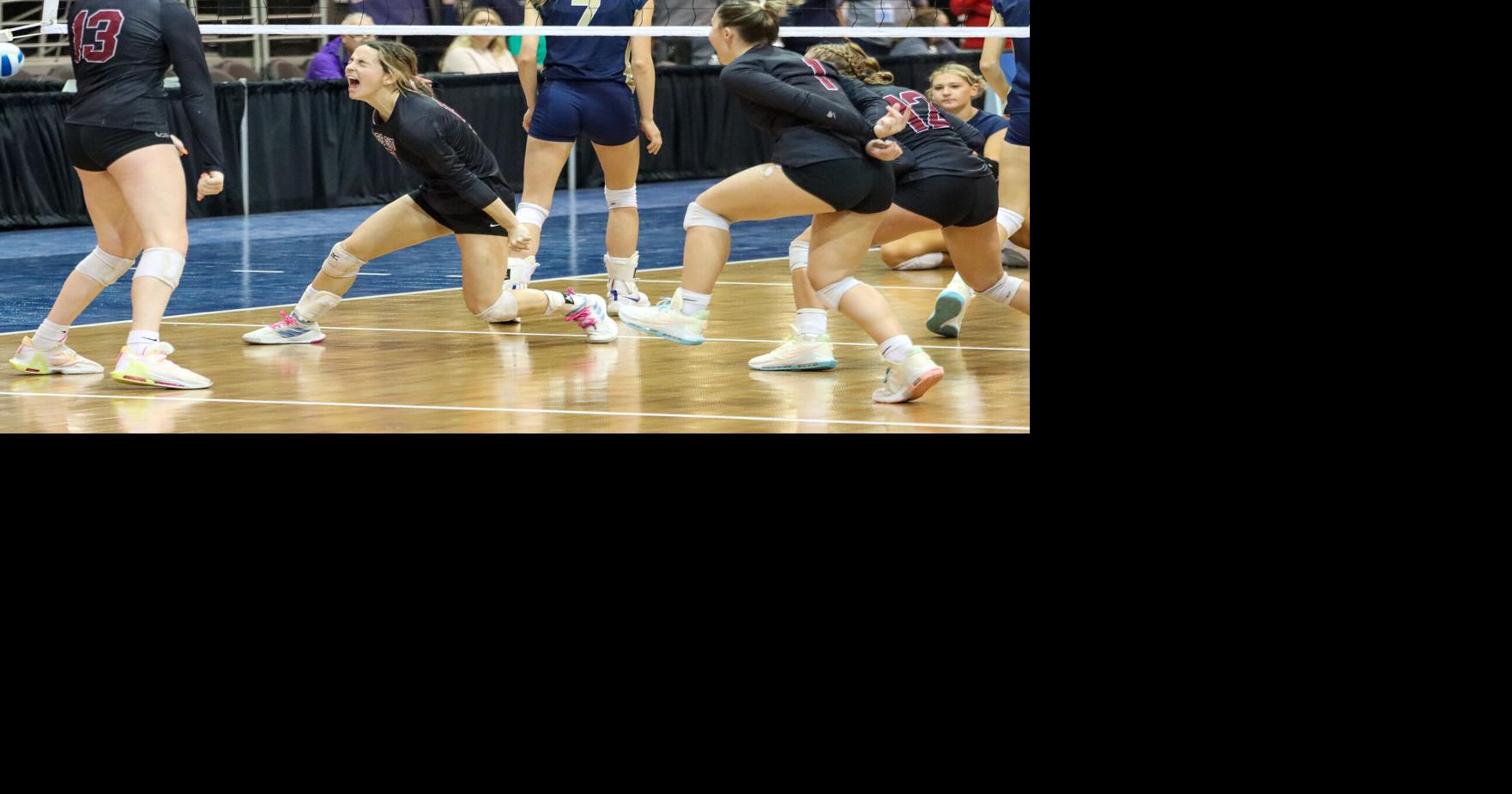 Cass City falls just short of state finals | Sports | tuscolatoday.com