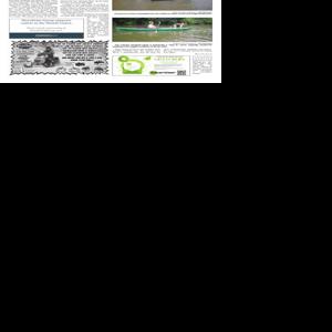Page C02 | e-Edition | tuscolatoday.com