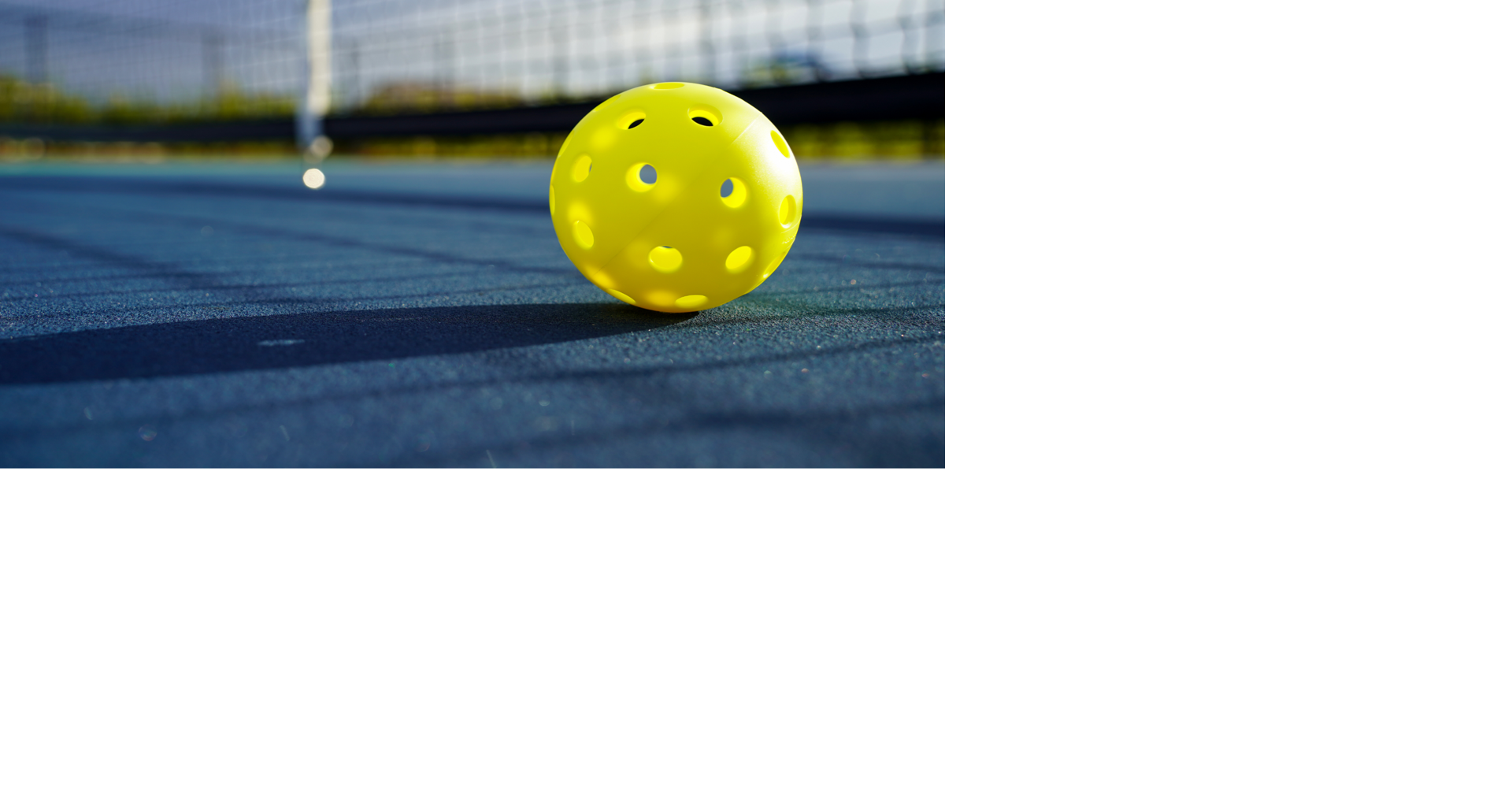Pickleball among State Games' NetFest Series | Homepage | twinstates.news