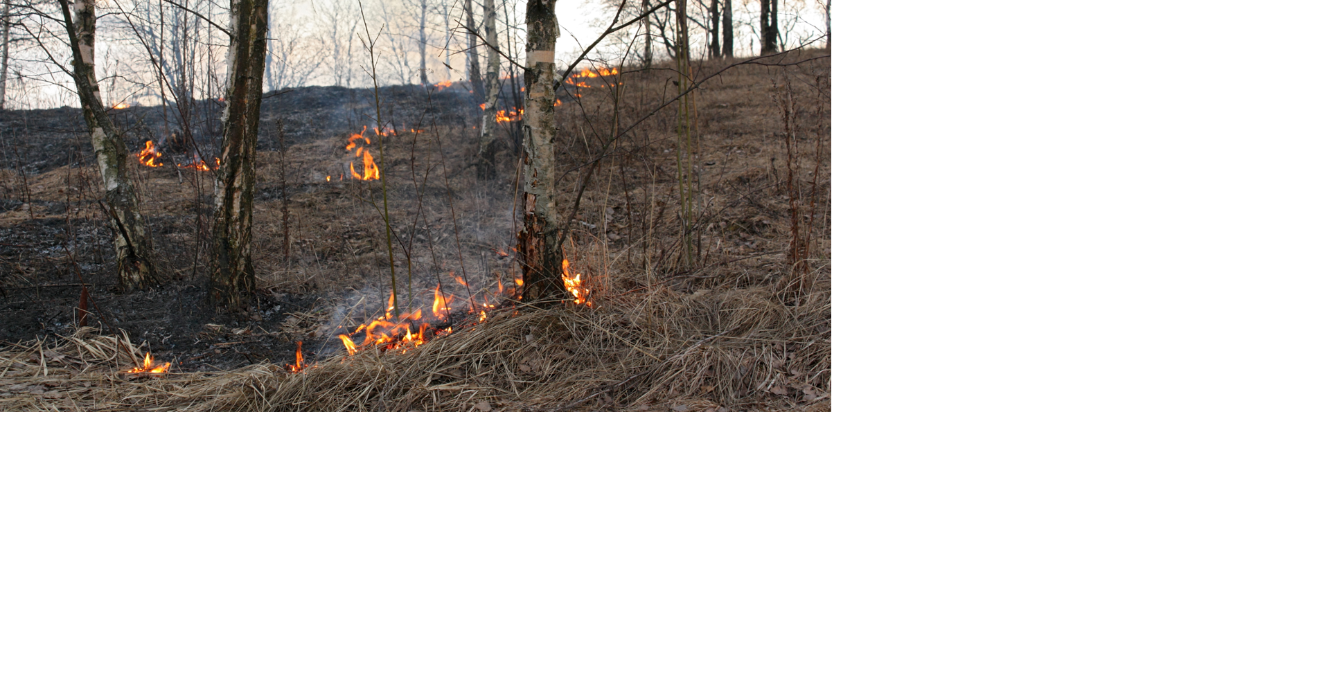 NWS issues fire danger warning in Jackson due to dry conditions, low ...