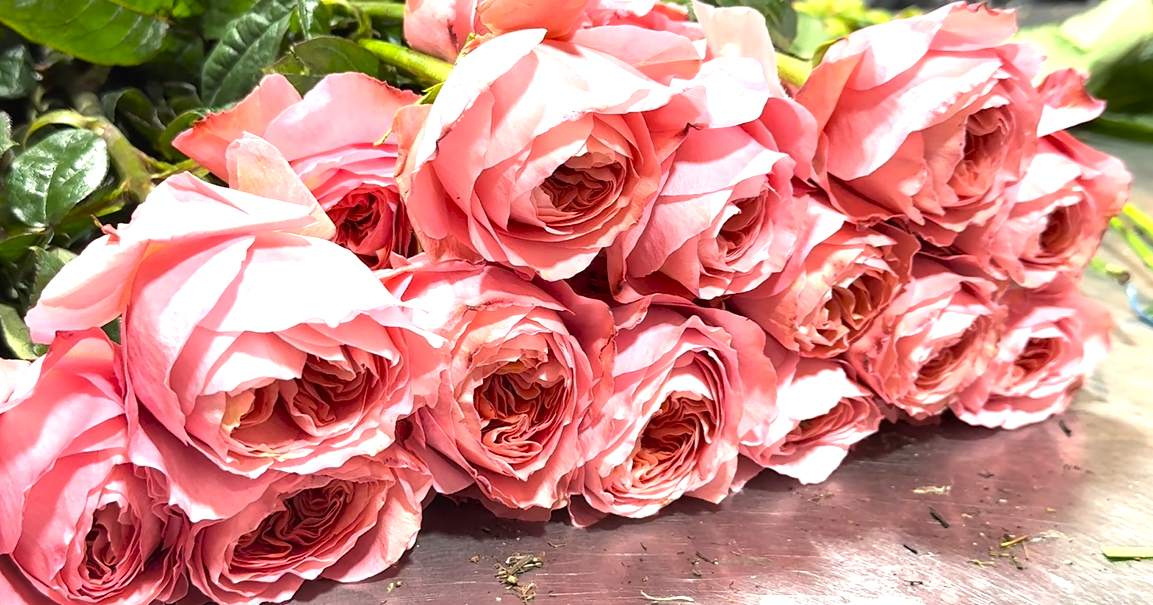 Enjoy flowers, ice cream at MSU's Blooms and Scoops event in Meridian ...