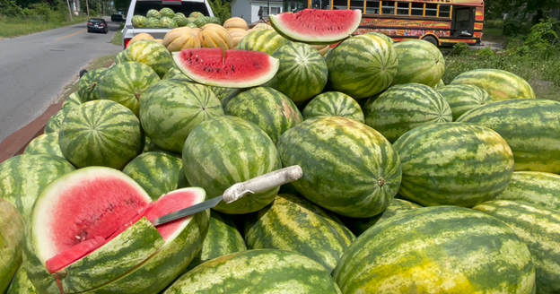 WATERMELONS WITH HELP: Community rallies behind salesman to help ...