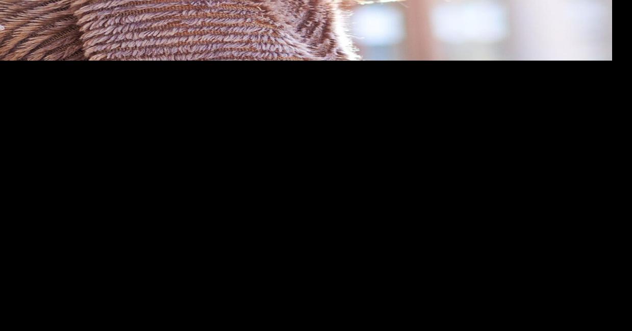 Behind the Lens | Culture | unothegateway.com