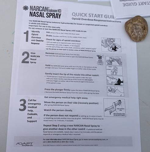 Students for Overdose Prevention hands out NARCAN Nasal Spray ...