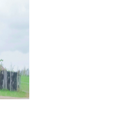 Scary Acres remains a must-see | Culture | unothegateway.com