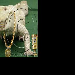 TV world mourns loss of influential hip-hop gator | Archives ...