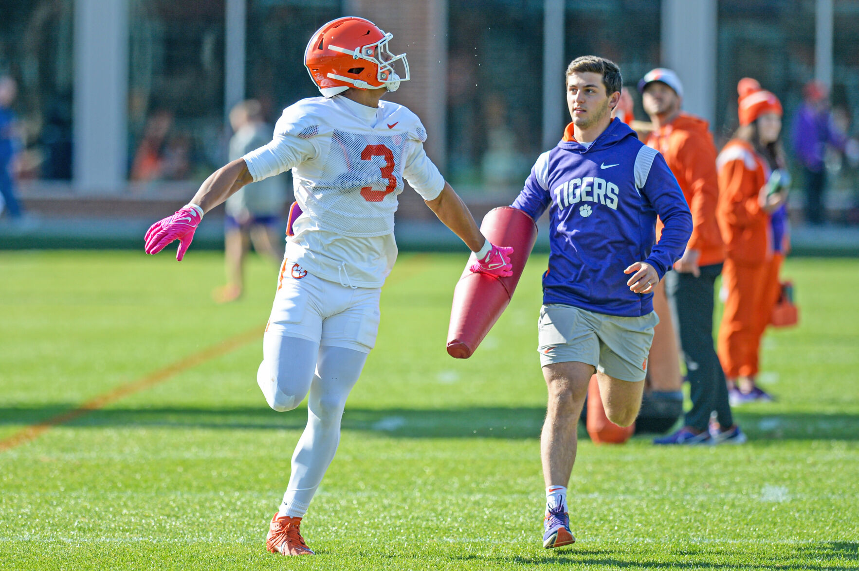 Tigers’ Johnson arrested for reckless driving | College | upstatetoday.com