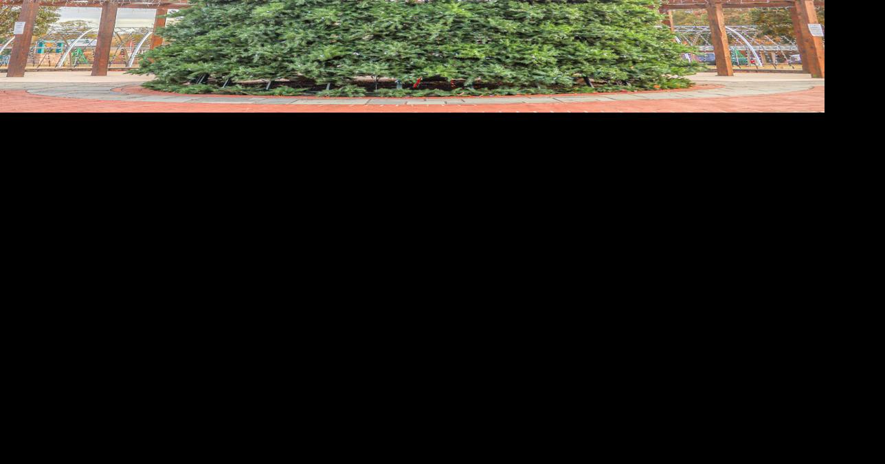 Christmas light show to begin in downtown Seneca tonight | News ...