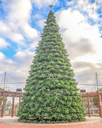 Christmas light show to begin in downtown Seneca tonight | News ...