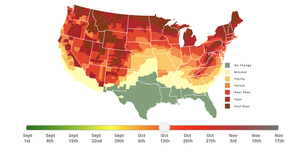 Fall leaf color season shaping up to be vibrant | News | upstatetoday.com