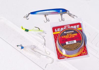 Outdoors: How to target summer gamefish in deep water | Outdoors ...