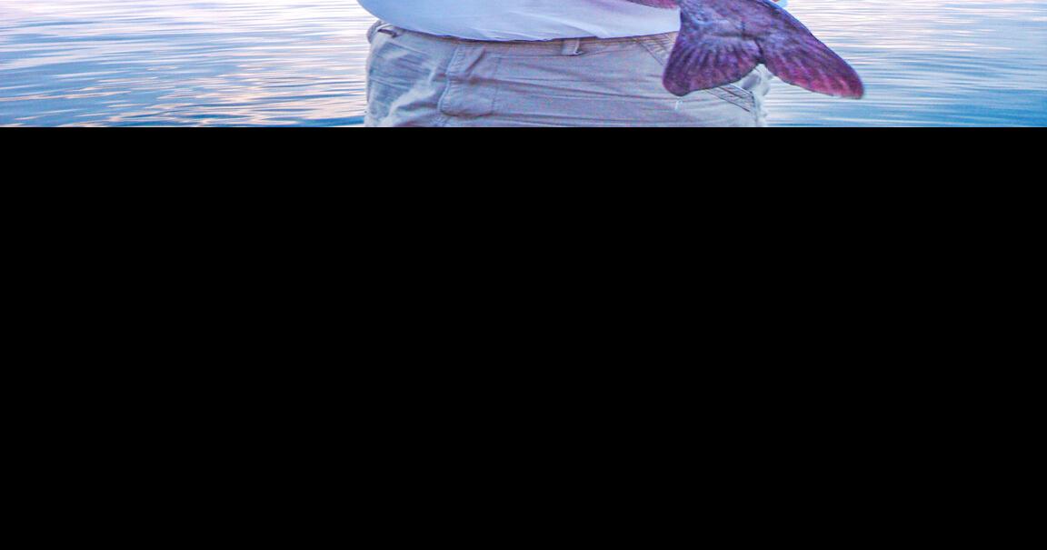 Outdoors: Try these two patterns for spring catfish | Outdoors ...