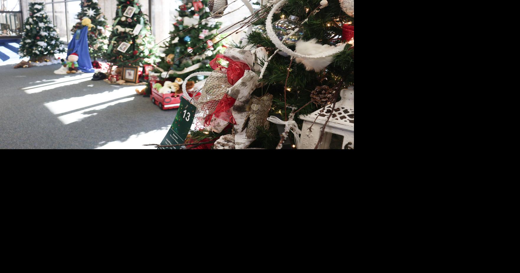 Last day to vote in Festival of Trees | News | upstatetoday.com