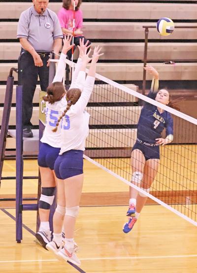 Lions top Seneca to clinch region title | Sports | upstatetoday.com