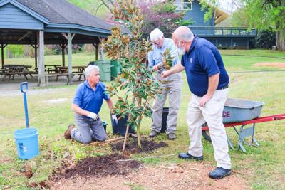 ‘Dream big’: Walhalla celebrates Arbor Day with tree planting, giveaway ...