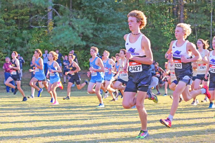 Daniel girls, Walhalla boys capture region titles | Sports | upstatetoday.com