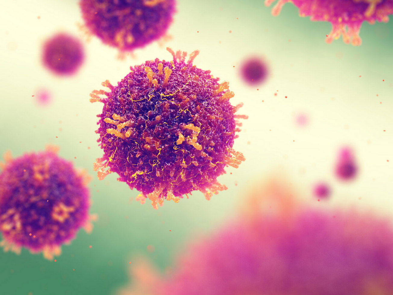 Measles confirmed at Anderson University | News | upstatetoday.com