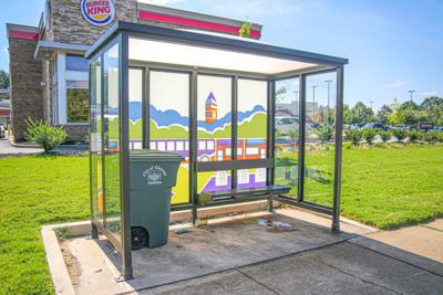 Clemson approves funding for latest bus shelter art | News ...