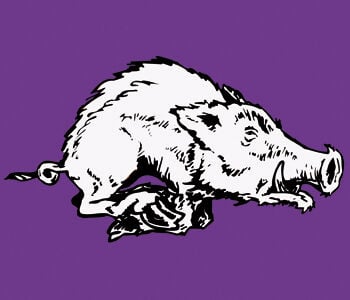 Razorbacks fall at Pickens | High School | upstatetoday.com