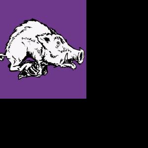 High school roundup: Razorbacks fall in non-region action | High School ...