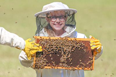 Elementary students get hands-on with honeybee program | News ...