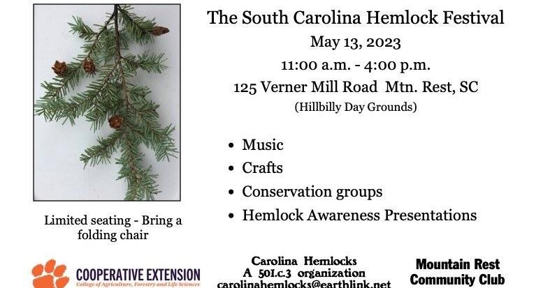 Local festival helps save the hemlock trees | Lifestyle | upstatetoday.com