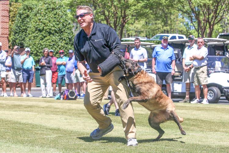 Police K-9 goes out in style with demo before golf tournament | News ...