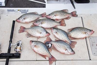 Outdoors: Scales don’t lie | Sports | upstatetoday.com