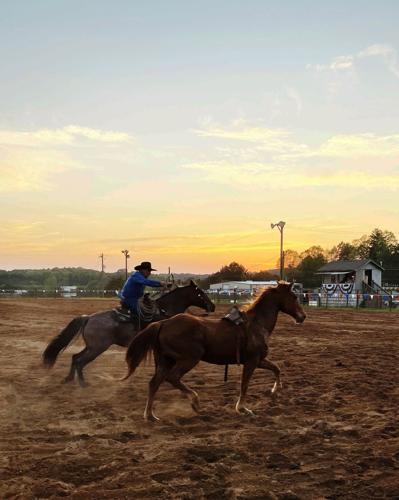 FARM Center hosting two-night rodeo | Lifestyle | upstatetoday.com