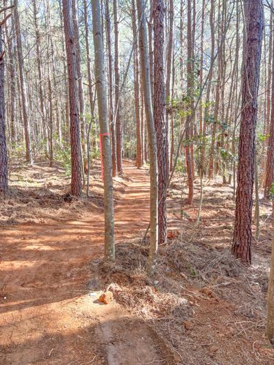 Work underway on third phase of Stumphouse Mountain Bike Trail | News ...