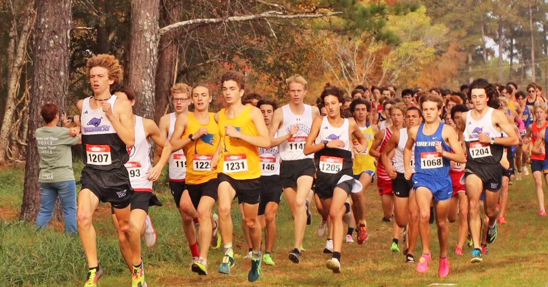 Razorbacks’ Poore makes history with State title | High School ...