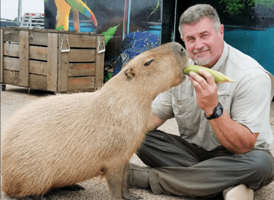 ‘Wild World of Animals’ coming to Walhalla | Lifestyle | upstatetoday.com