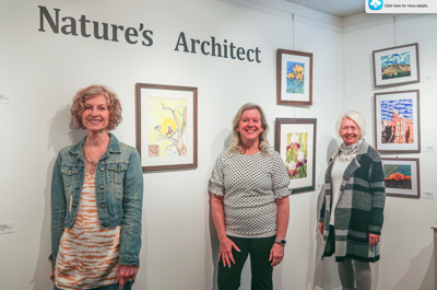 BRAC opening National Photography Show tonight | Lifestyle ...