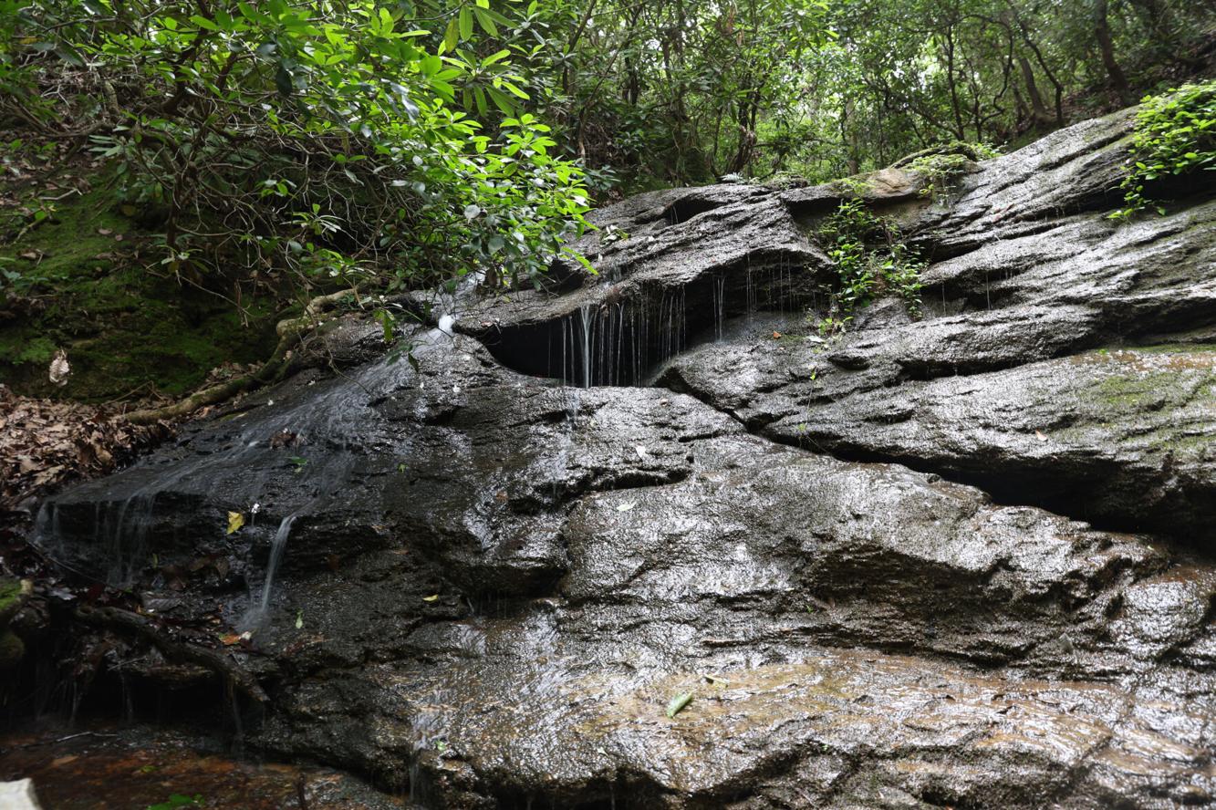 Walhalla committee discusses transferring Stumphouse park oversight ...
