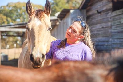 Rocky Ridge Horse Rescue is a nonprofit that has saved more than 100 ...